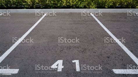 주차장에 흰색 페인트 번호 표시의 클로즈업 빈 주차장 흰색 마크가있는 주차장 공공 공원의 오픈 주차장 번호 41 주차장에 대한 스톡 사진 및 기타 이미지 Istock