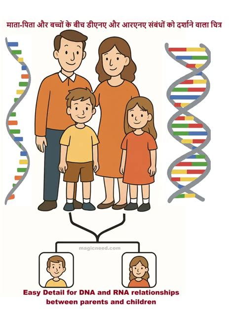 Dna Rna की सरल रचना में 3 मुख्य अंतर की जानकारी 3 Main Differences In The Simple Structure Of