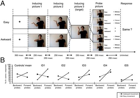Figure 1 From Typical Action Perception And Interpretation Without
