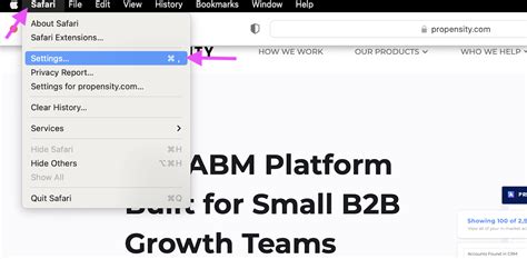 Safari Settings To Enable Cross Site Tracking Propensity
