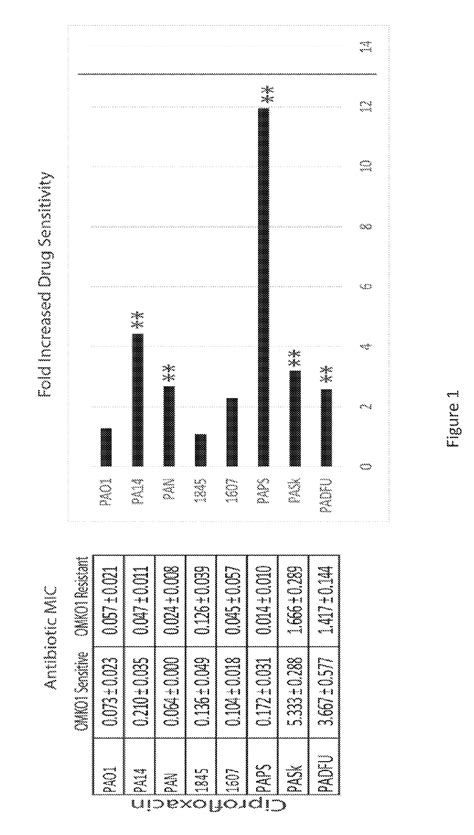 Bacteriophage Compositions And Uses Thereof Eureka Patsnap