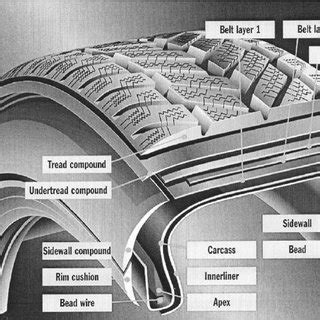 1 The Components Of A Pneumatic Car Tyre Blic 2001 The Main