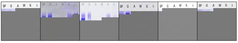 sample · issue 3 · w86763777 pytorch ddpm · github