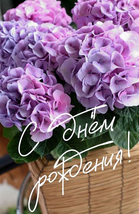 Пин от пользователя Наталия Чернышенко на доске Открытки С днем рождения Цветы на рождение С