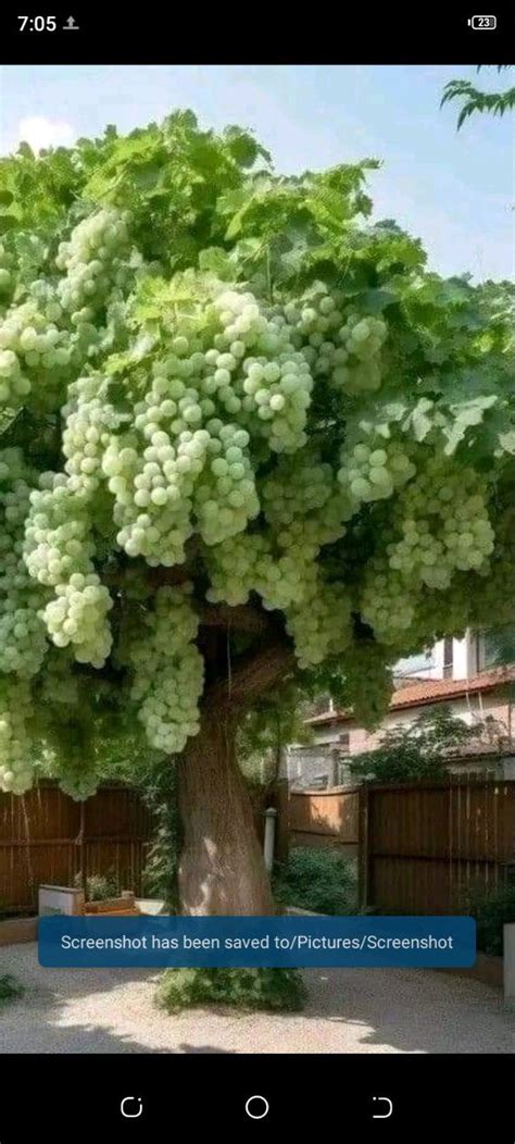 Arham Azhan Posted On Linkedin