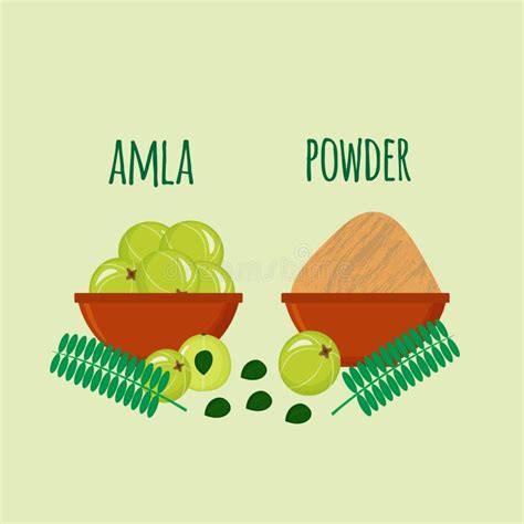 Amla Icon In Flat Style Isolated Stock Vector Illustration Of Leaves