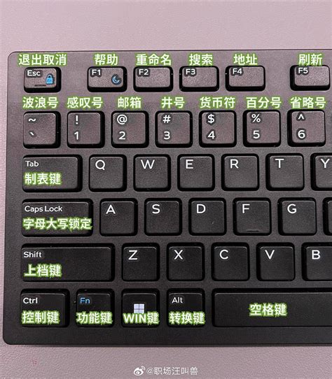 零基础小白学电脑，建议先从键盘开始学习！ 职场 来源