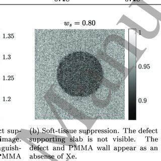 Defect Contrast As A Function Of Xe Concentration Chamber For A Download Scientific Diagram
