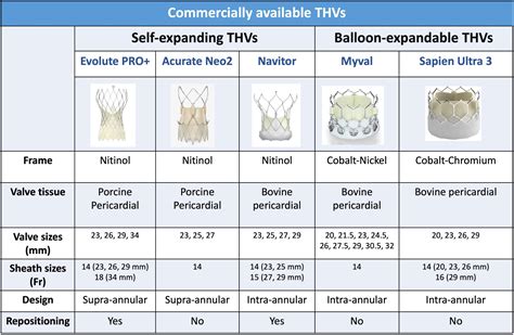 Different Types Of Tavr Valves At Nathan Kenneth Blog
