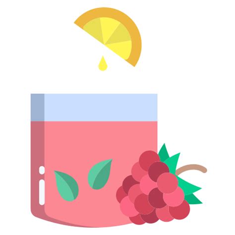 Raspberry Icongeek Flat Icon