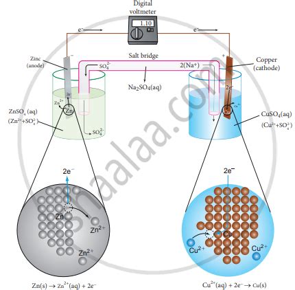 Describe The Construction Of Daniel Cell Write The Cell Reaction Chemistry Shaalaa Com