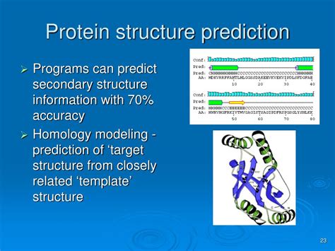 Protein Structure Prediction At Luca Harford Blog