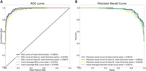The Area Under The Receiver Operating Characteristic Curve And