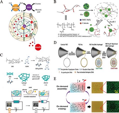 Figure 1 From Design And Application Of Stimuli Responsive Dna
