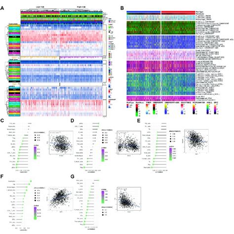 Analysis Of Immune Cell Infiltration Related To The Signature A Download Scientific Diagram