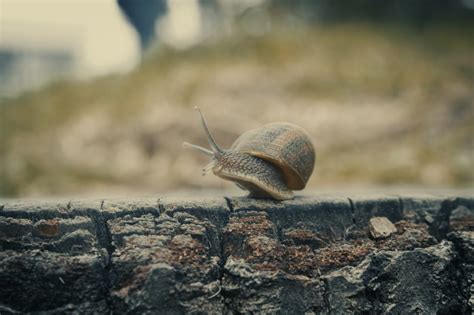 Deteksi Slow Function Di Golang Dengan Profiling Teknologi