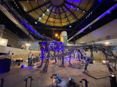 ทางศูนย์วิจัยและการศึกษาบรรพชีวินวิทยา ขอขอบคุณสำหรับ Feedback จากเพจ เลี้ยงลูกนอกบ้าน ที่ได้มา