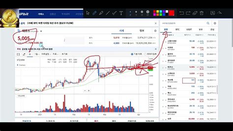스팀 비트코인골드 센티넬프로토콜 종목분석및 추카추카 Youtube
