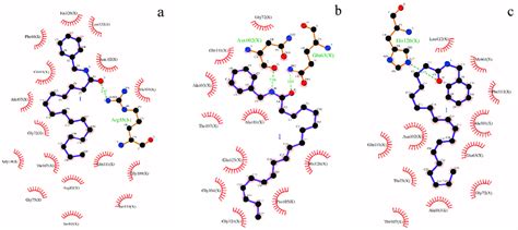 A C Molecular Docking Of The Three Bioactive Ligands With Cypd