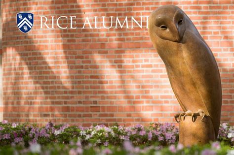 [100 ] rice university wallpapers