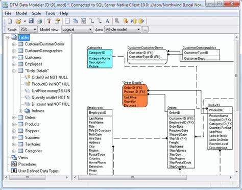 DTM Data Modeler Download Review