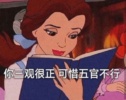 你三观很正可惜五官不行迪士尼公主表情包表情包图片gif动图 求表情网 斗图从此不求人