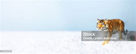 2022 년 중국 새해의 호랑이 상징 푸른 배경에 눈에서 호랑이의 인형 크리스마스 인사말 카드 배너 복사 공간 0명에 대한 스톡 사진 및 기타 이미지 Istock