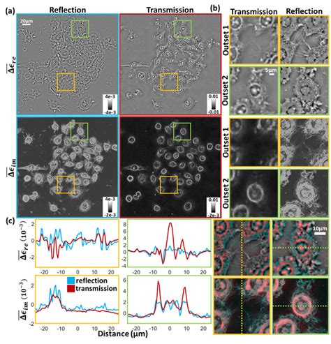 Phase Retrieval Tian Lab