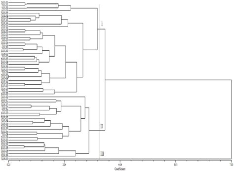 Dendrogram Constructed By Upgma Method Based On 6 Quantitative Traits Download Scientific