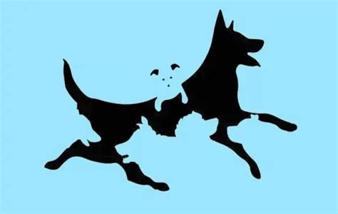 “강아지가 몇마리 보이시나요”보이는 강아지 숫자가 당신의 ‘정신연령을 나타냅니다 뉴스충전