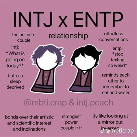Pin By Majakkani On Mbti Intj Entp And Intj Mbti Relationships