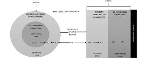 Schematic Representation Of Processes Involved In Conventional