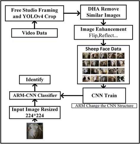 General Flow Of Sheep Face Recognition Download Scientific Diagram