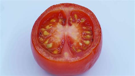 8k Tomato Is Rotting And Molding 12824192 Stock Video At Vecteezy