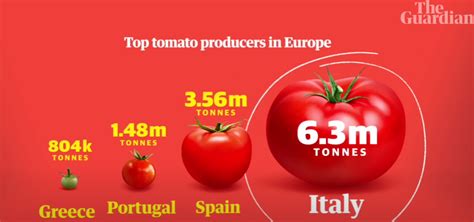 현대판 노예제를 운영하는 아그로 마피아 질문엔 팰월드 팔월드 위키 발로란트 배그 던파 메이플 리니지 공략 디시 갤러리