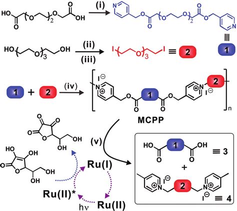 The Synthesis And Visible Light Triggered Degradation Of Mcpp I