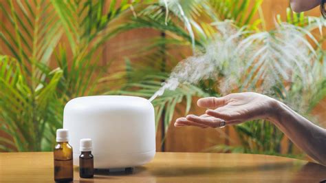 Как да изберем арома дифузер за етерични масла Purus Bg