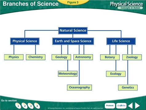 What Are The Different Branches Of Science The Major Major Branches Of