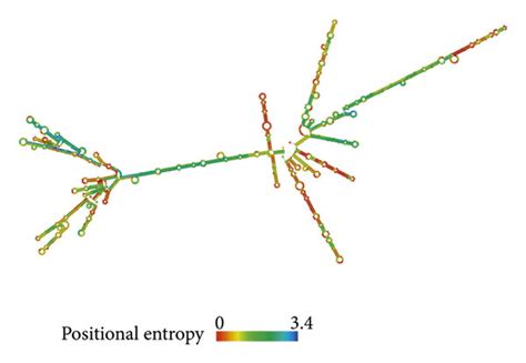 Rna Secondary Structure Prediction By Minimum Free Energy That May Have Download Scientific