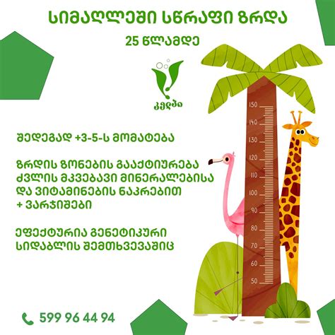 Kelpi • კელპი სიმაღლეში ზრდის ცენტრი Tbilisi