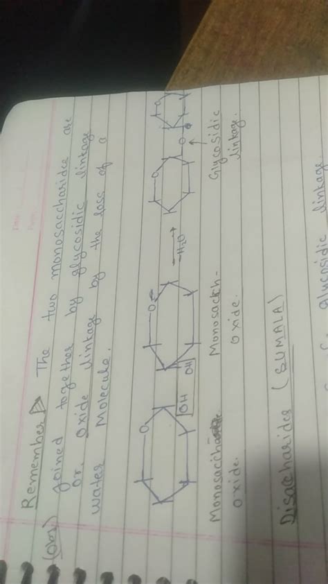 Remember The Two Monosaccharides Are Ob Joined Together By Glycosidic L