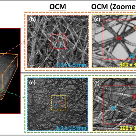 Evaluating The Robustness Of The Pd Pt Ocm Guided Mpm With Complex