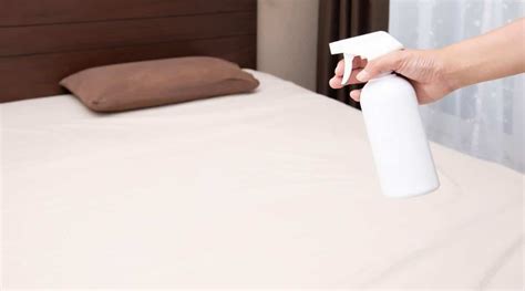 Help I Just Found Fleas In My Bed How Do I Get Rid Of Them