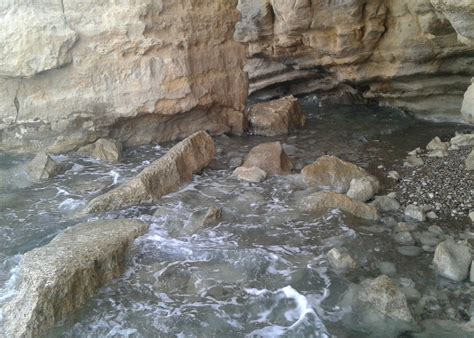 무료 이미지 동굴 불안정한 스토니 모래 자갈 근본적인 목재 하천의 하천 지형 은행 지질 학적 현상 형성 노출 경치 작은 만 흐름 물 특징 산