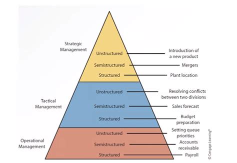 mda 5203 introduction flashcards quizlet