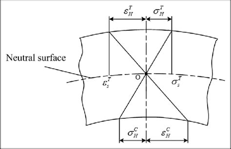 Strain And Stress Distribution At The Elastic Limit Of Tensile Region Download Scientific