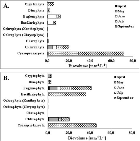 Phytoplankton Composition With An Emphasis Of Cyanobacteria And Their