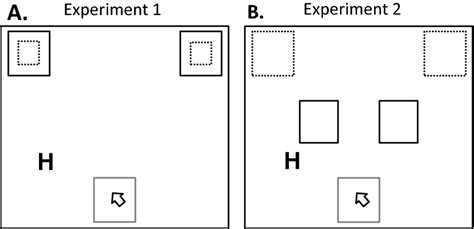 Schematic Illustration Of The Stimulus Display In Experiment 1 A And