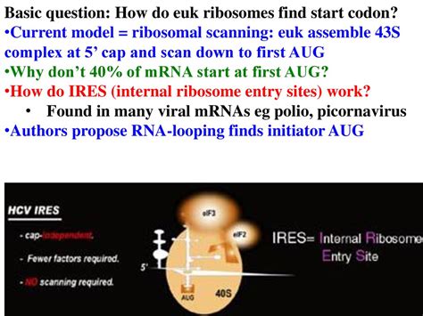 Next Assignment Wed March 27 Ppt Download