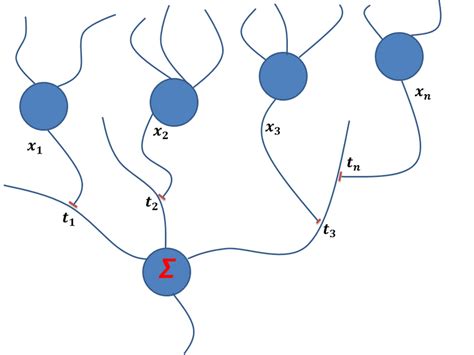 a neuron receives on its dendritic tree in the order of 10 3 − 10 4